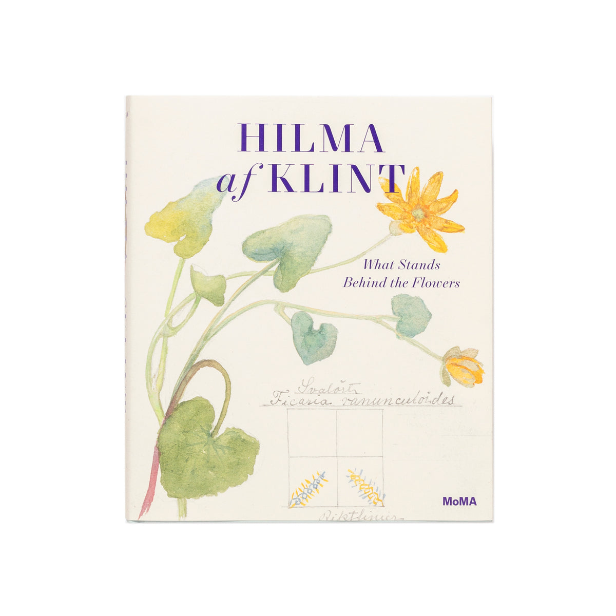 Hilma af Klint: What Stands Behind the Flowers | Clove & Creek