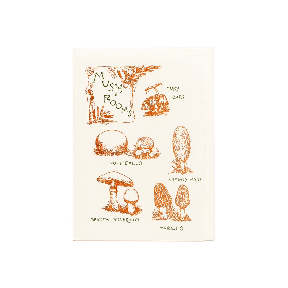 Mushroom Guide Card | Clove & Creek